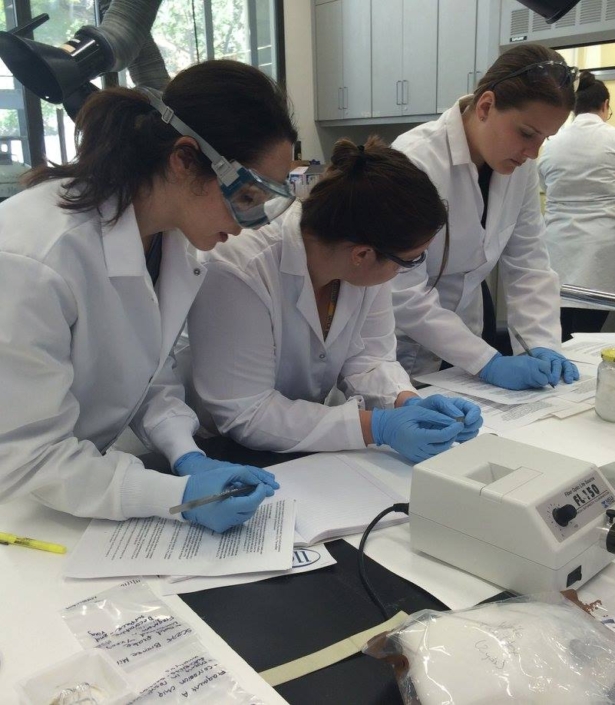 Courses - UCLA / Getty Conservation