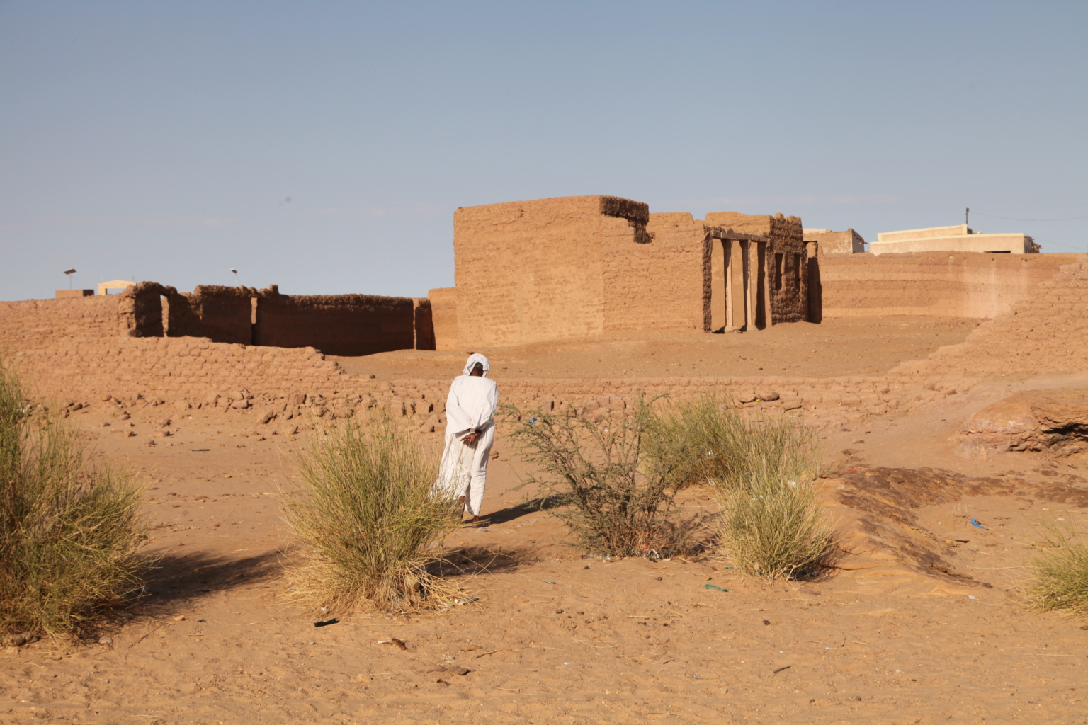 UCLA / Getty Conservation