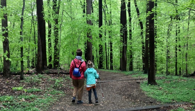 UCLA / Getty Conservation